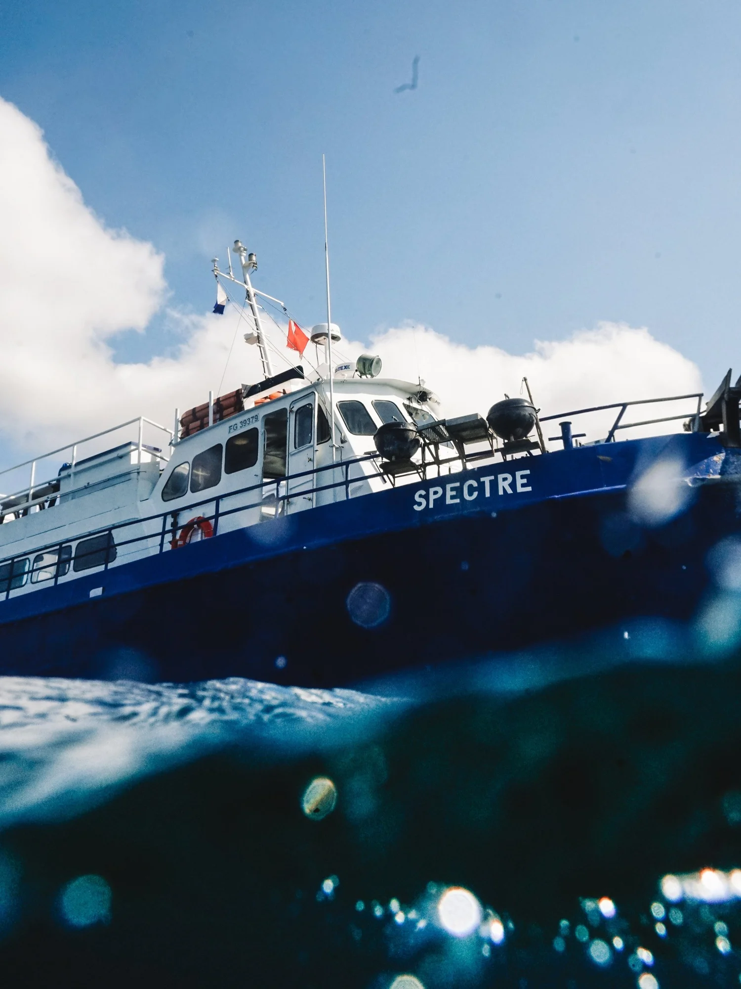 Dive Channel Islands - Scuba Diving Experience in California