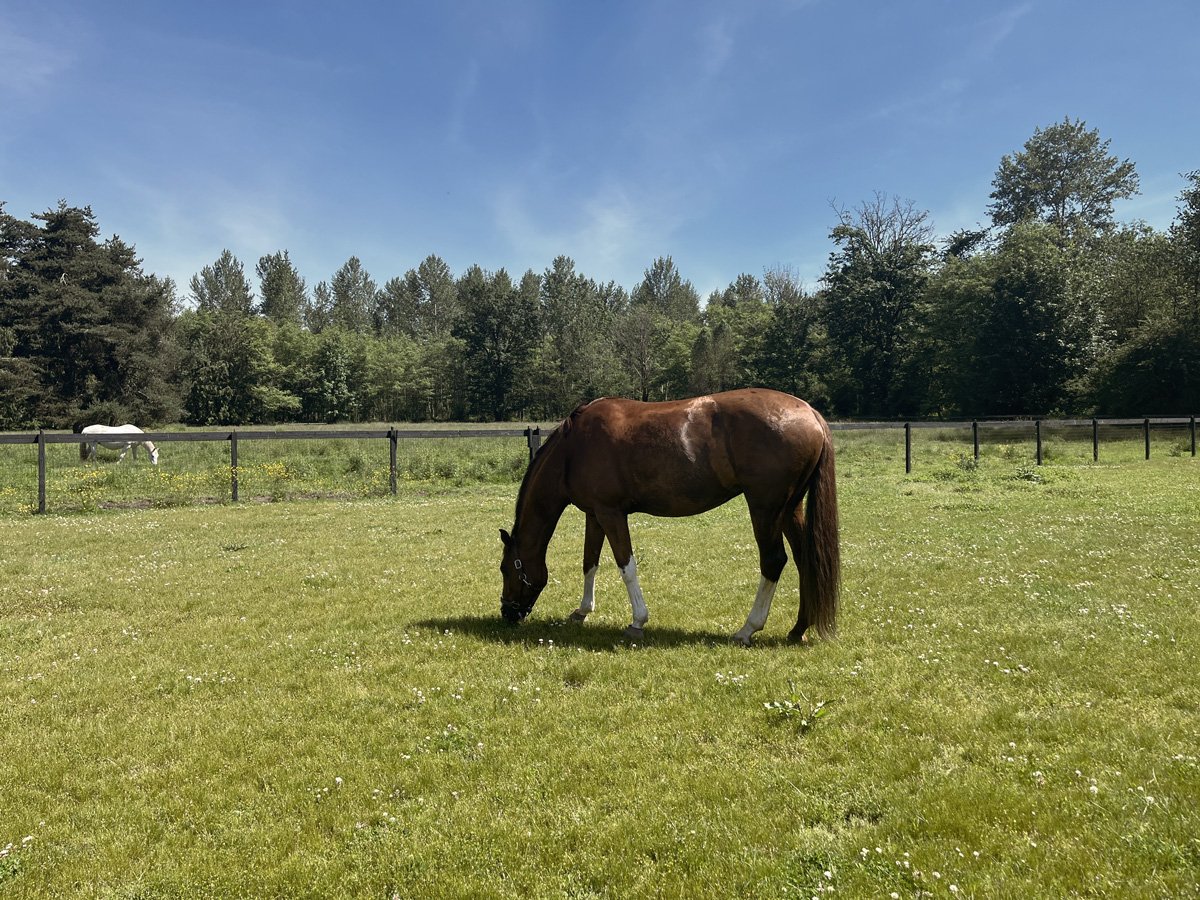 Facilities — BRASS RING FARM