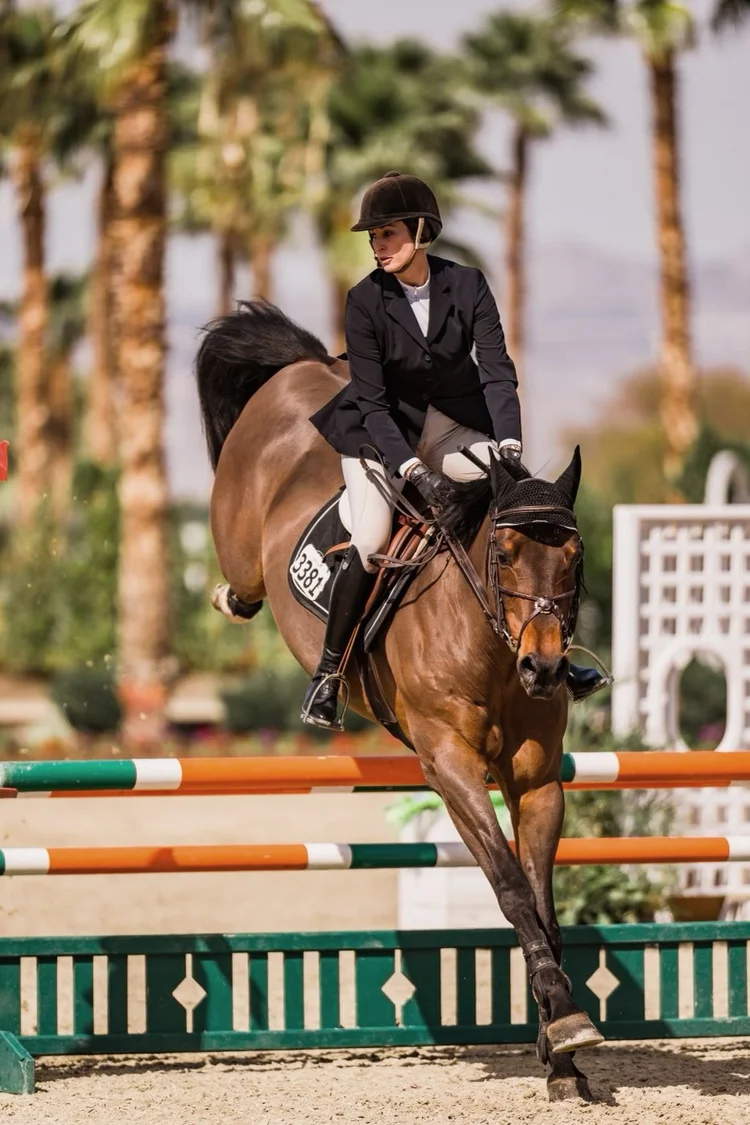 Facilities — BRASS RING FARM