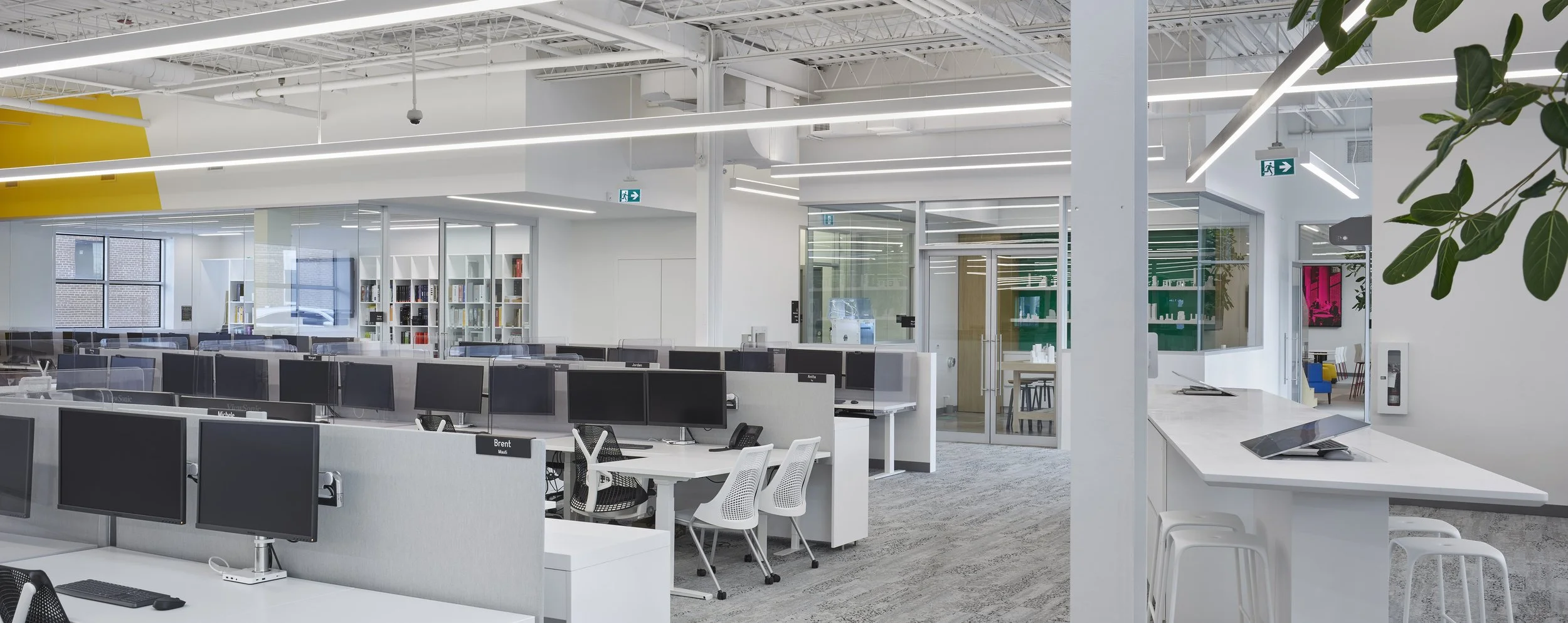 Turner Fleischer — BMI Website