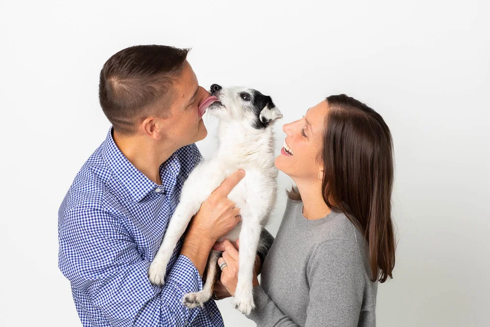 Pet Photography — Smallish Photo Studio, Seattle WA