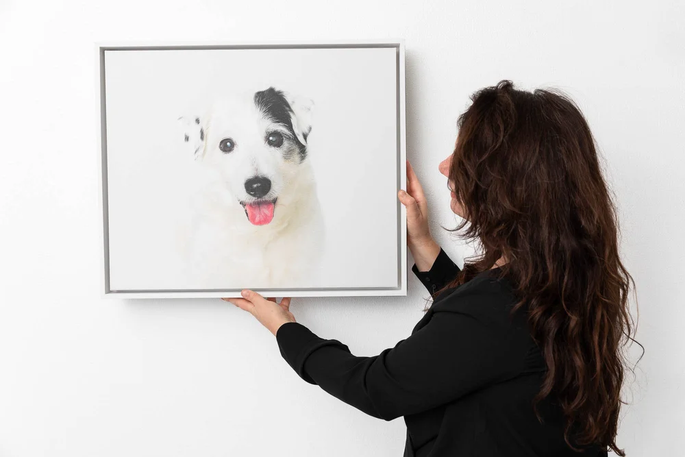 Pet Photography — Smallish Photo Studio, Seattle WA