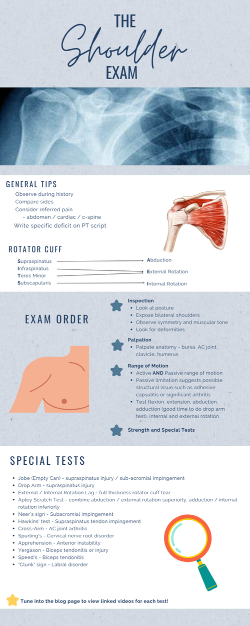Shoulder Exam — The St. Margaret Shorts