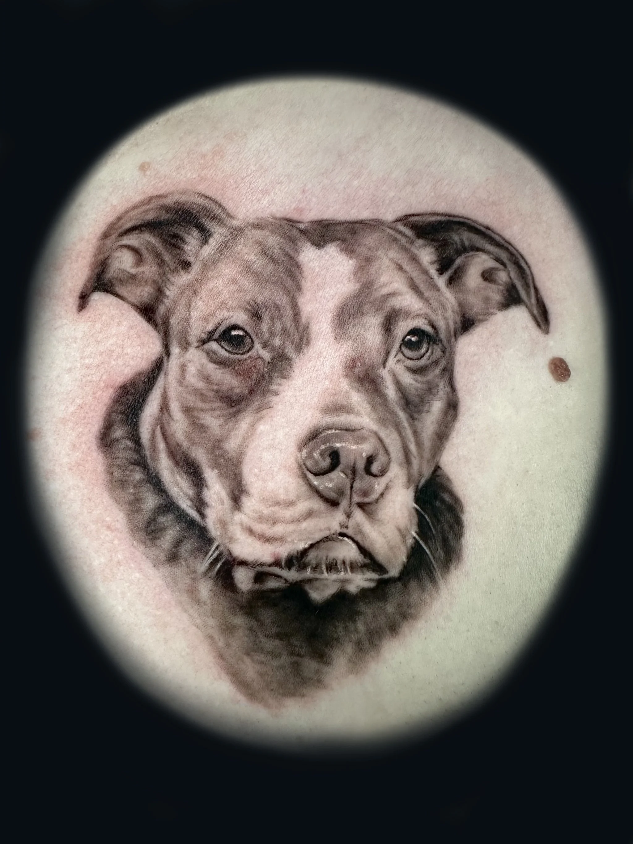 TATTOO GALLERY — MJ - PROLIFIC TATTOOS