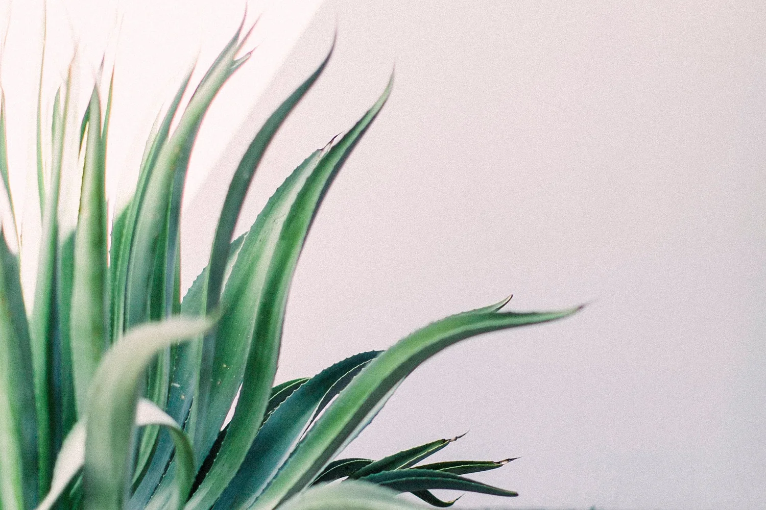 Jennifer Price — Understanding the Six Human Needs and How To Make Them ...