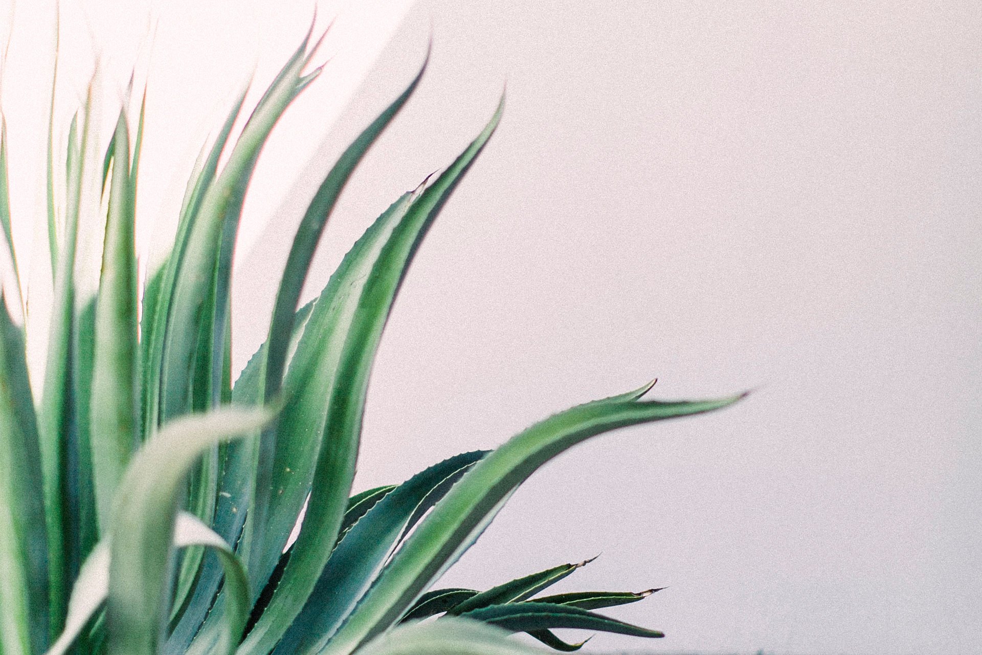 Jennifer Price — Understanding the Six Human Needs and How To Make Them ...