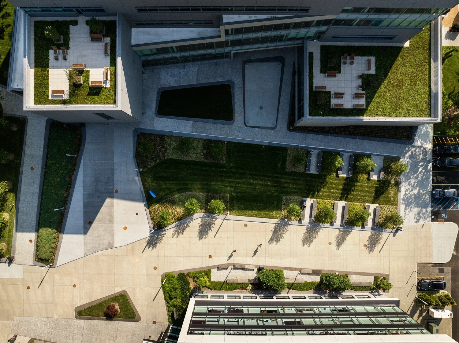 Hofstra University — BEYOND