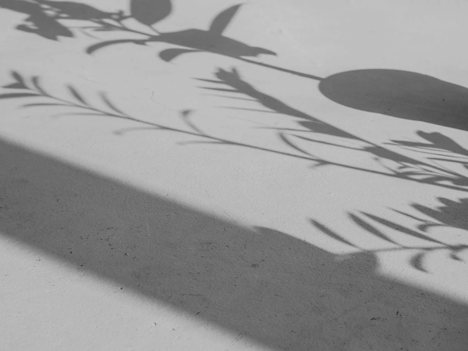 Replete IV Drip Lounge - Elevate Your Wellness Journey