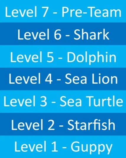 Levels — Riptide Swim School