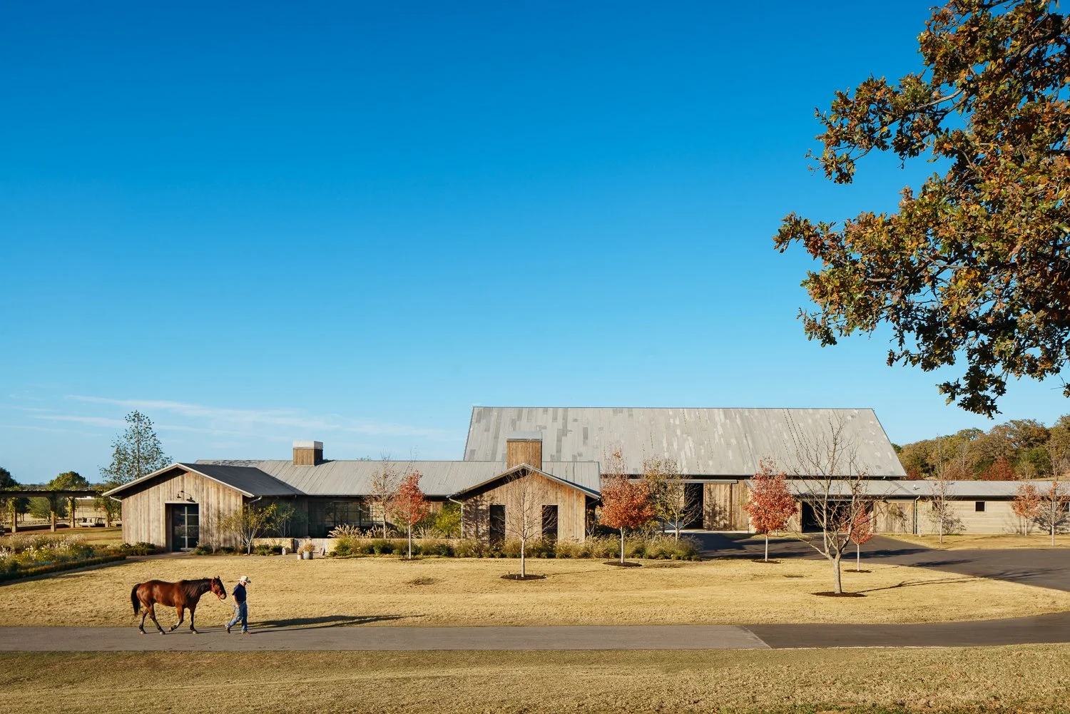 Backen & Backen Architecture