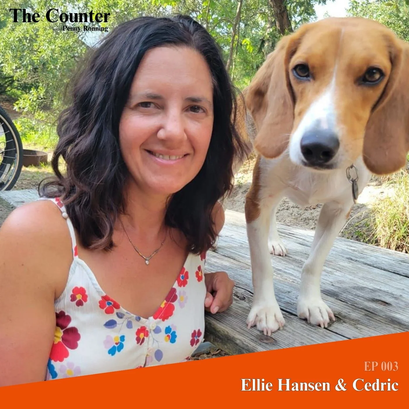 Ellie Hansen — The Counter