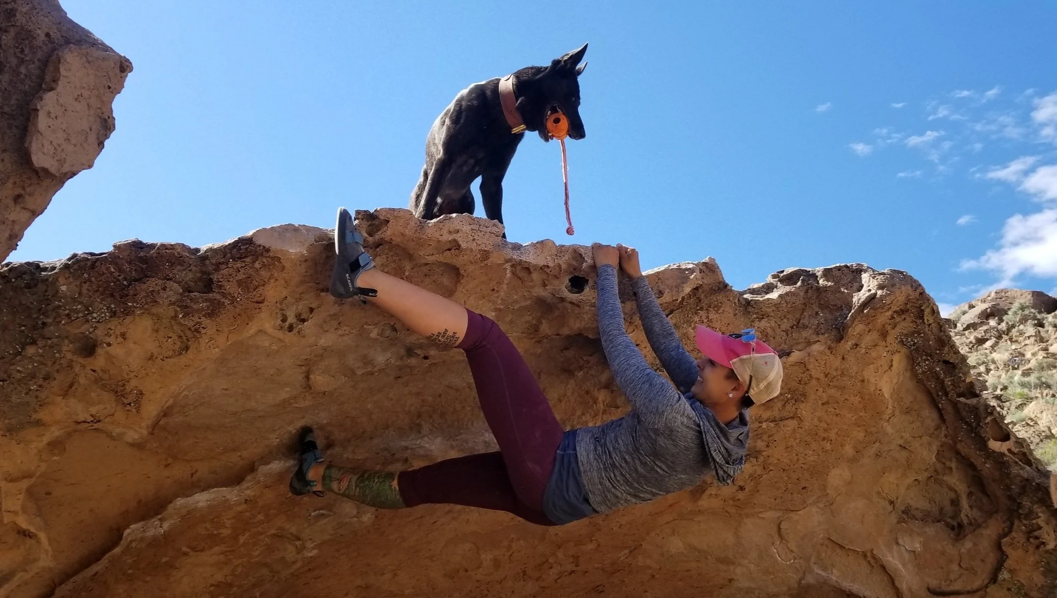 THE Crag Dog Online Training Course — Clear Mind Canine