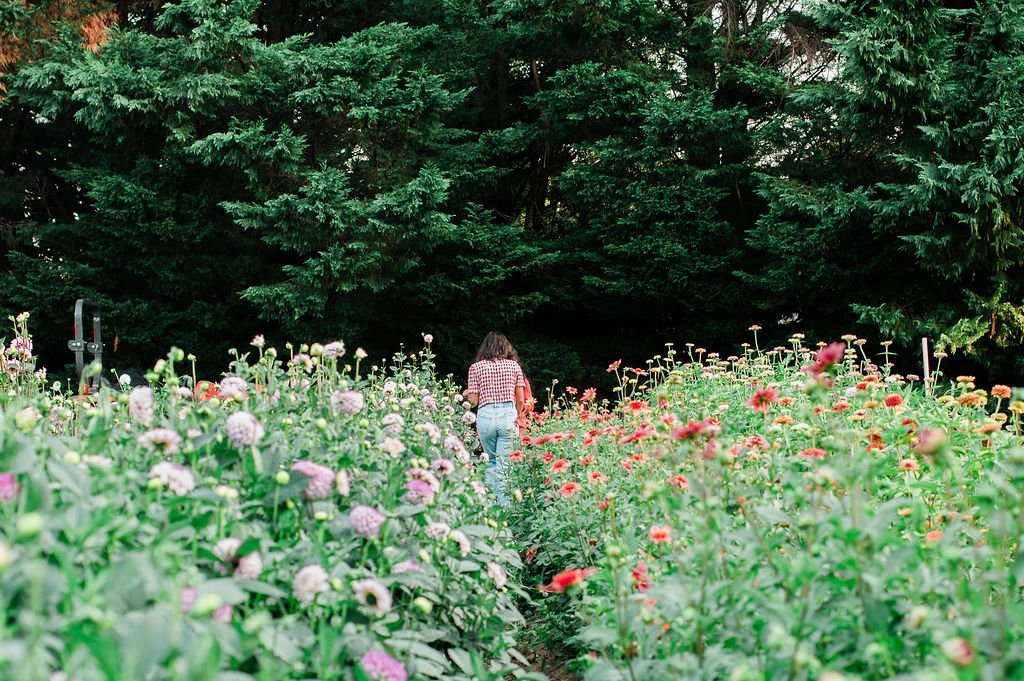 Flower Farming For Profit