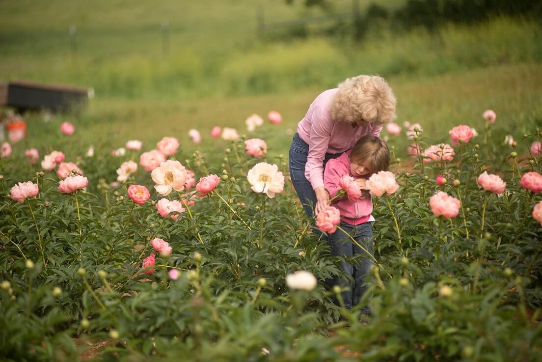 Case Studies of Successful Flower Farmers — Flower Farming For Profit