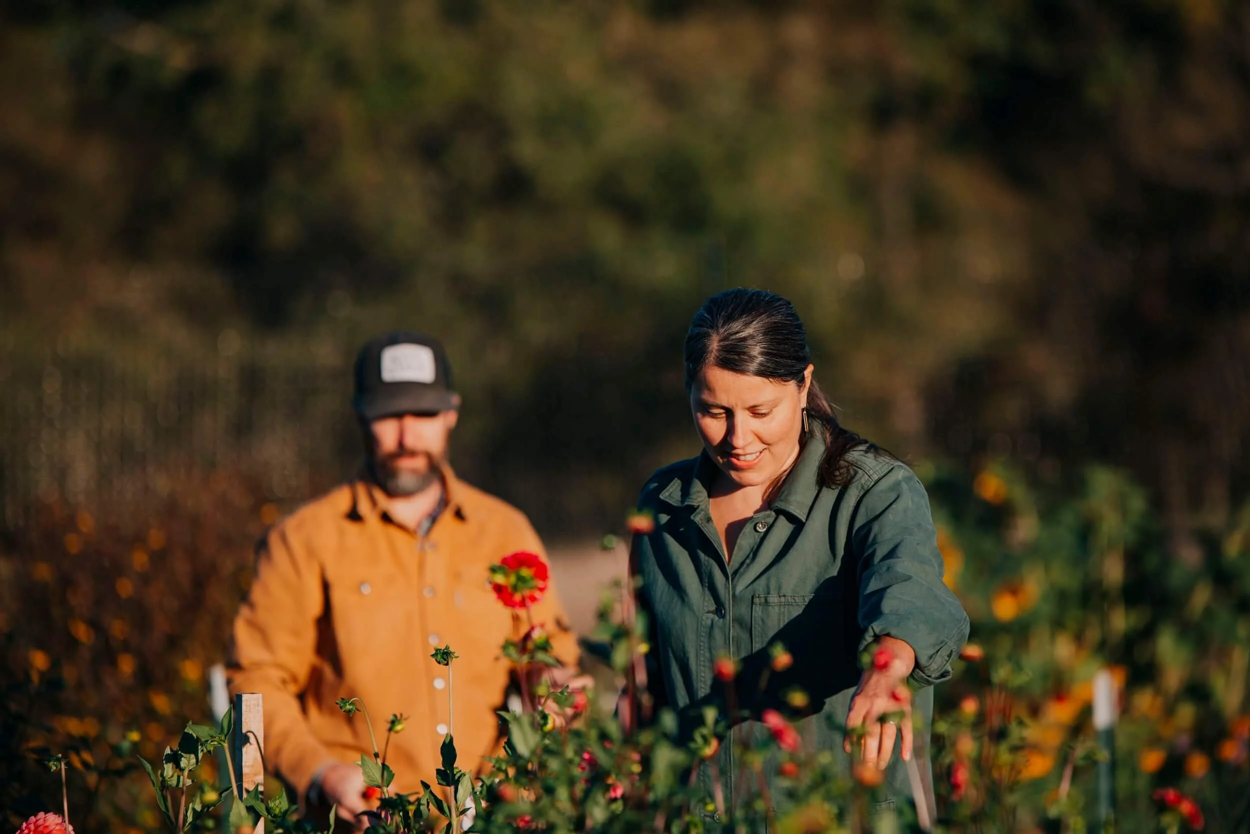 Case Studies of Successful Flower Farmers — Flower Farming For Profit