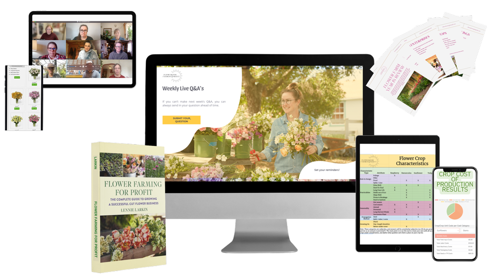 Flower Farming Business Academy Flower Farming For Profit