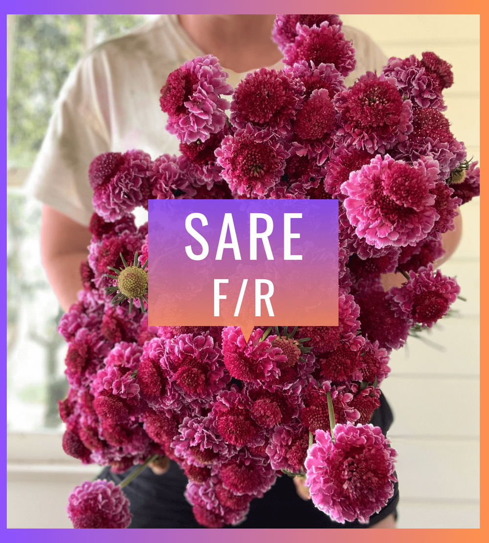 Database of Grants Available for Flower Farmers — Flower Farming For Profit