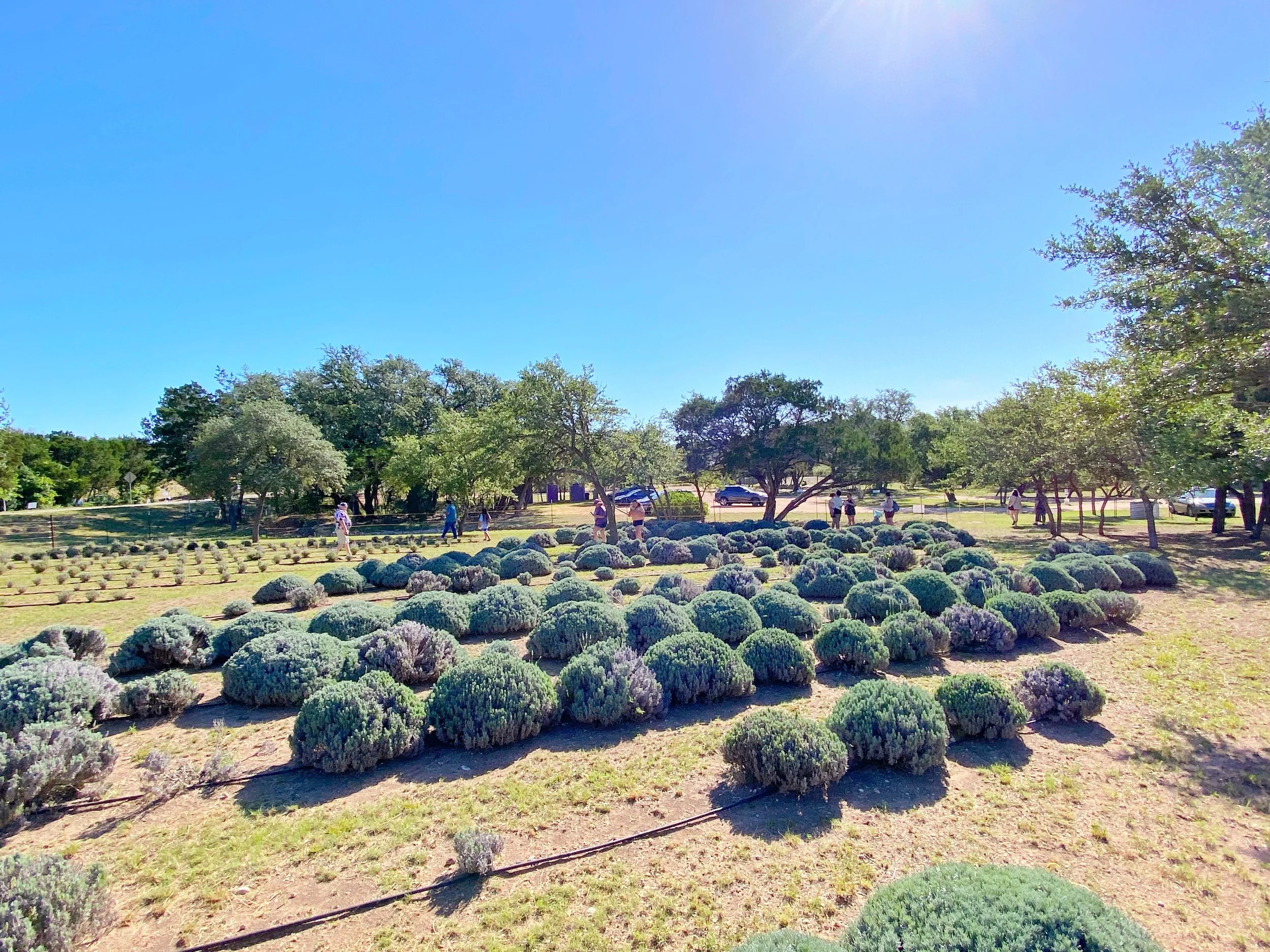 Services — Brieger Pottery