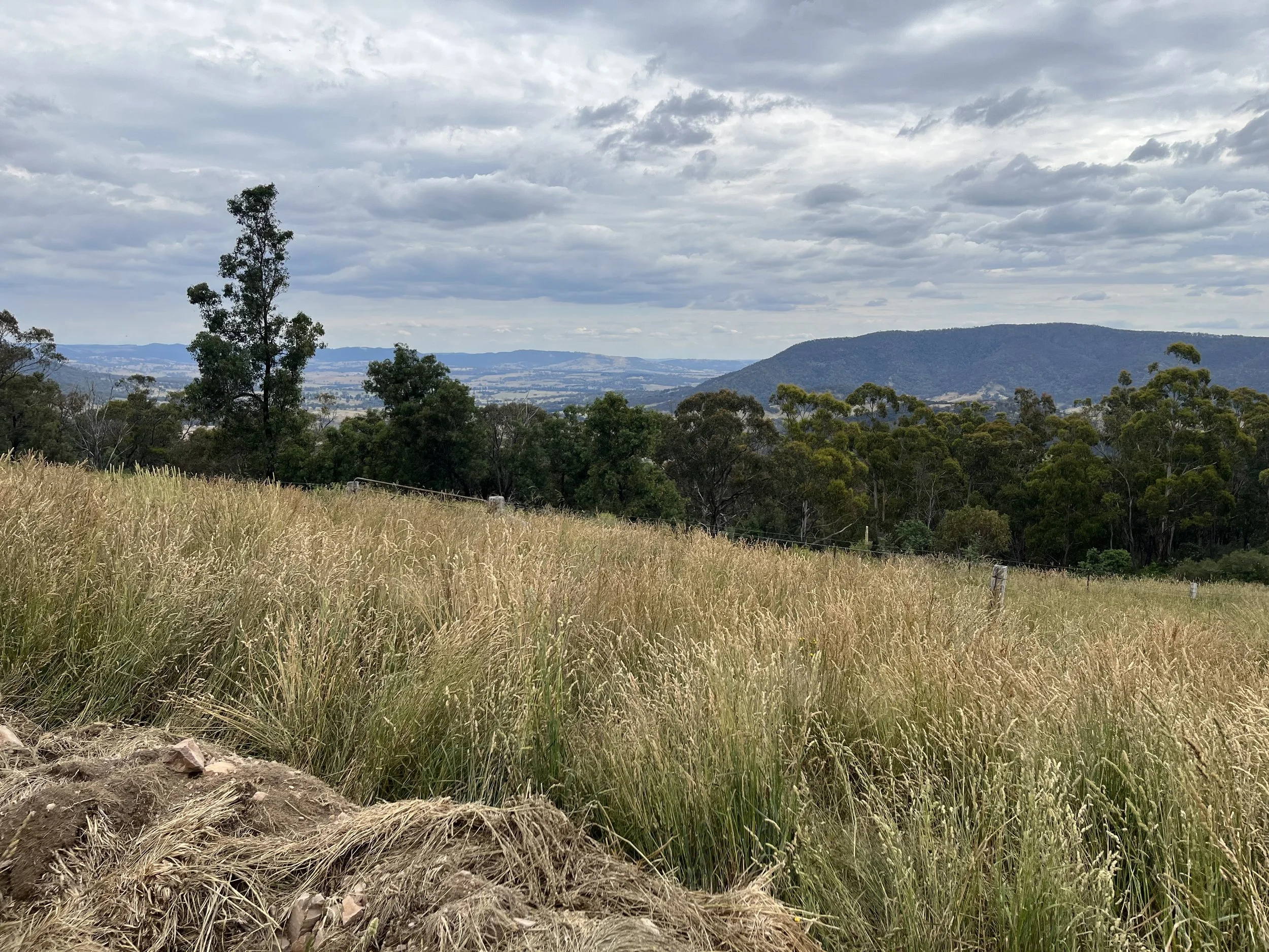 Home [www.mountlambiewindfarm.com]