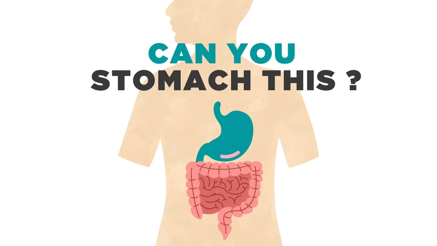 Can You Stomach This? — Kenzai