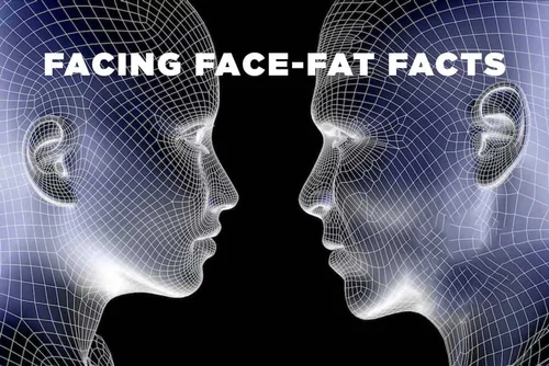 Facing Face-Fat Facts — Kenzai
