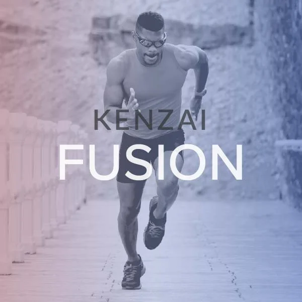 Advanced Programs Index — Kenzai