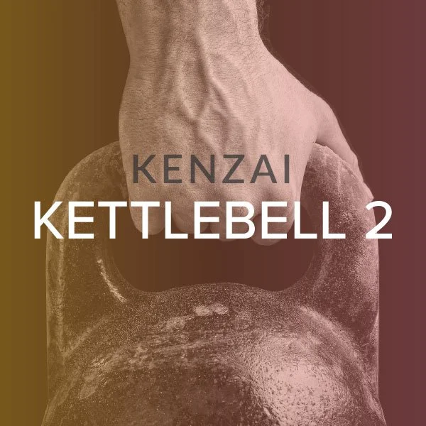 Advanced Programs Index — Kenzai