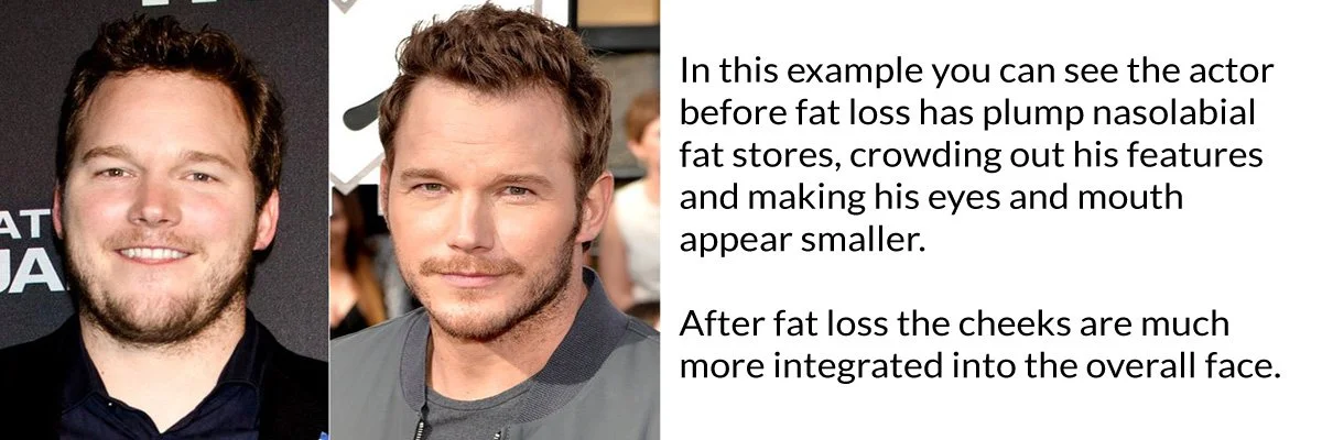 Facing Face-Fat Facts — Kenzai