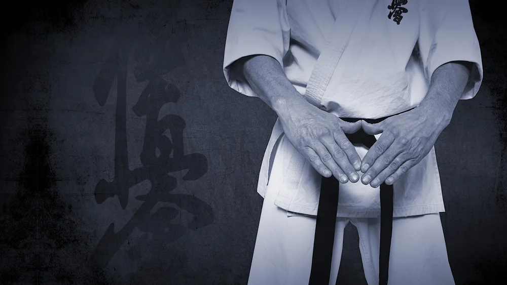 History of Kyokushin and Kyokushin-Kan Karate leadership — Young Lions Dojo