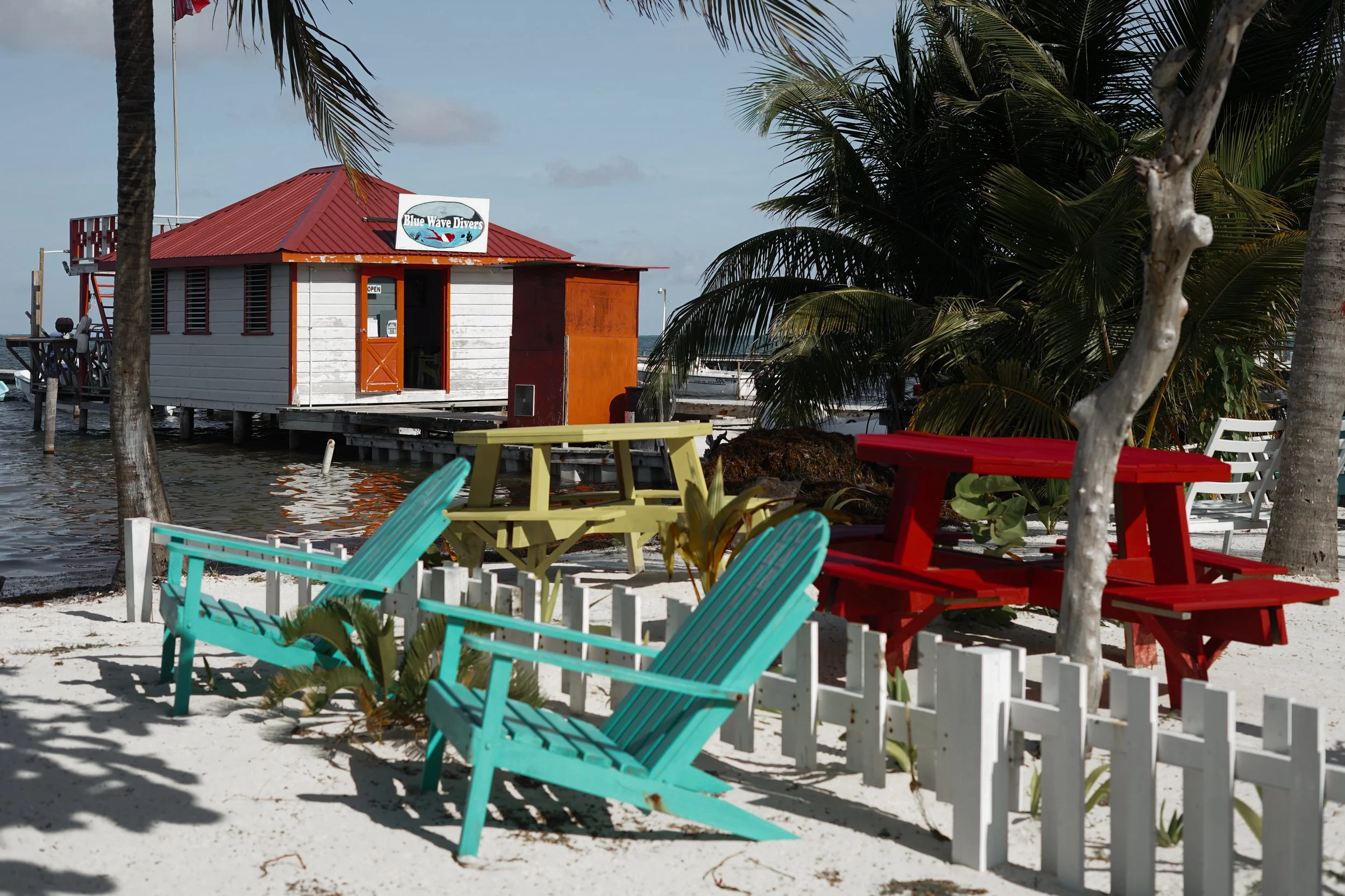 What To Do In Caye Caulker, Belize | Marine Activities — The Truth ...