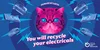 Material Focus - How a pink HypnoCat is helping people to recycle ...