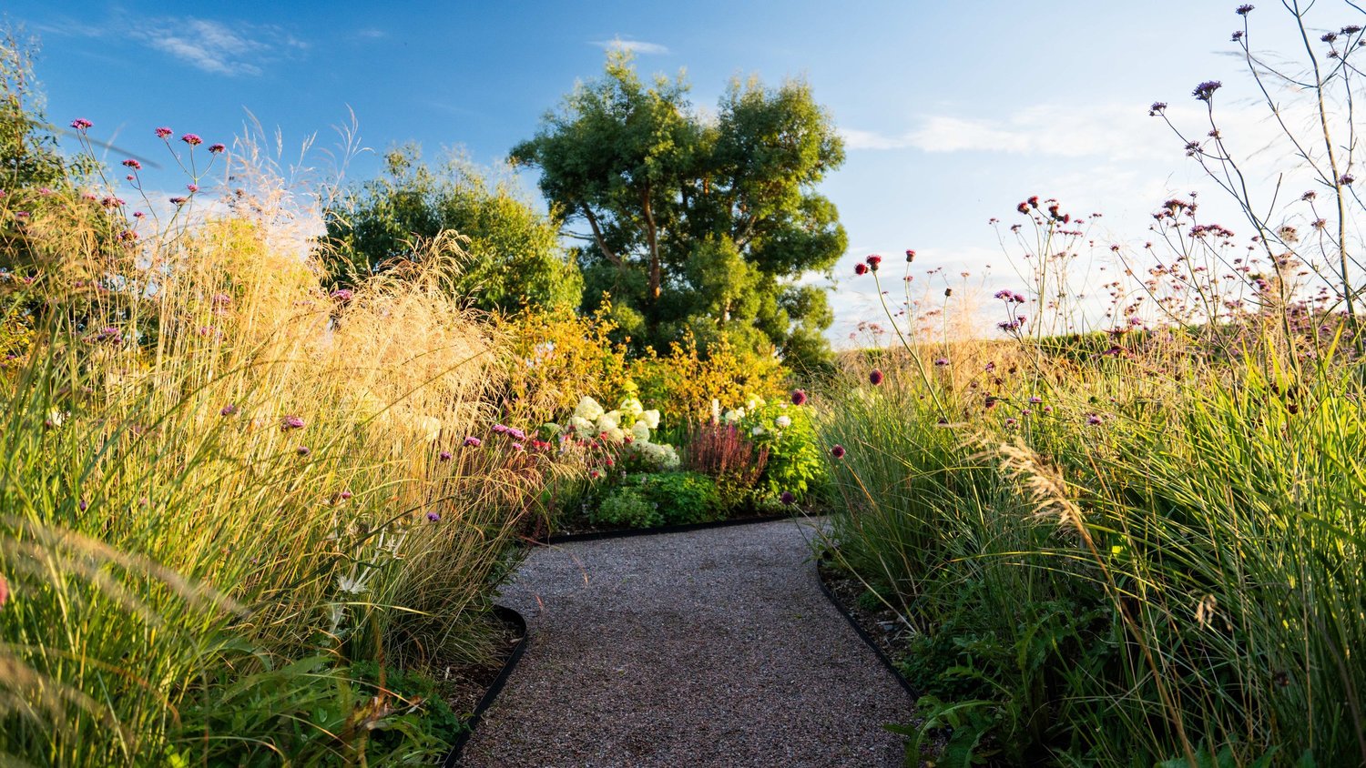 Connolly Connected Gardens
