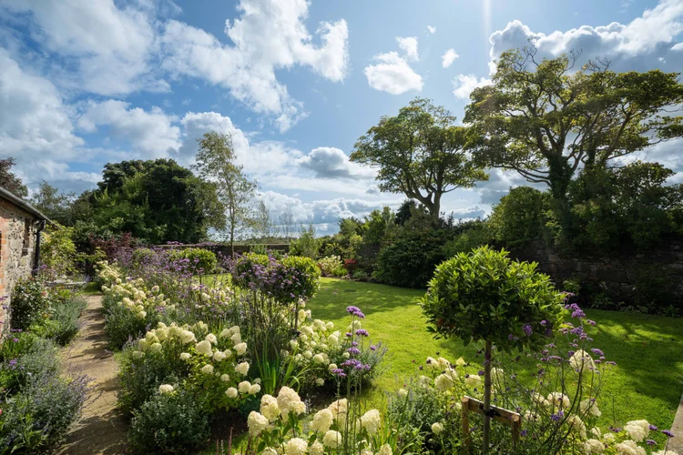 Connolly Connected Gardens