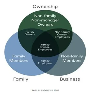 Family governance and the sustainability of family business — Family ...