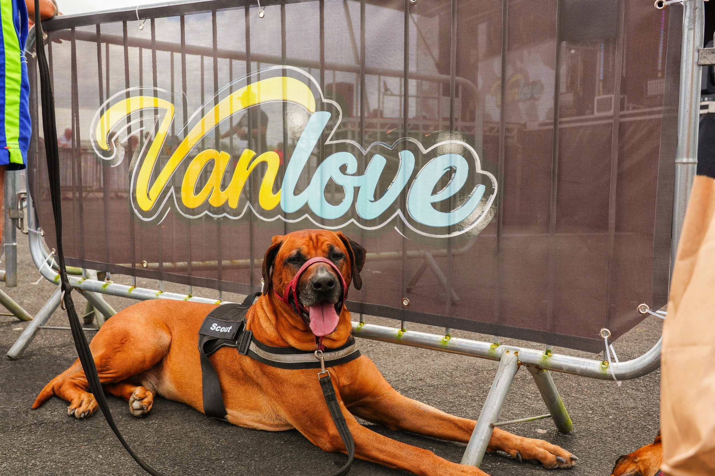 Vanlove | The Best Vanlife & Campervan Community In The World