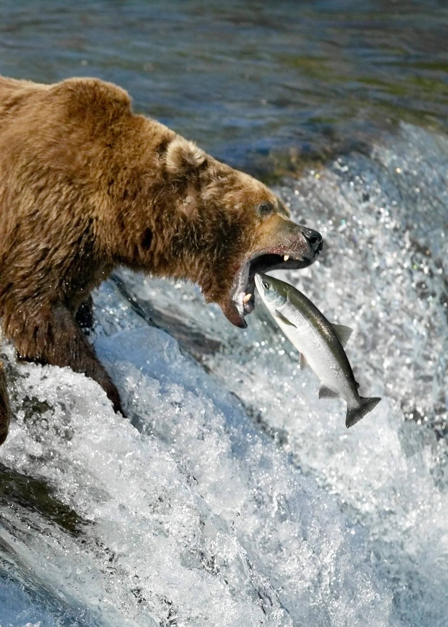 Work — Steve Bloom Artist