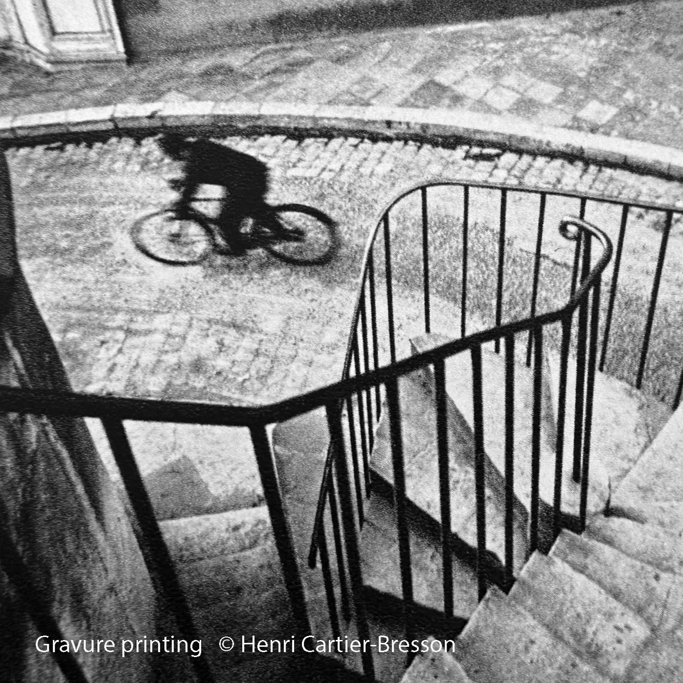 Blog 3 — Steve Bloom Artist