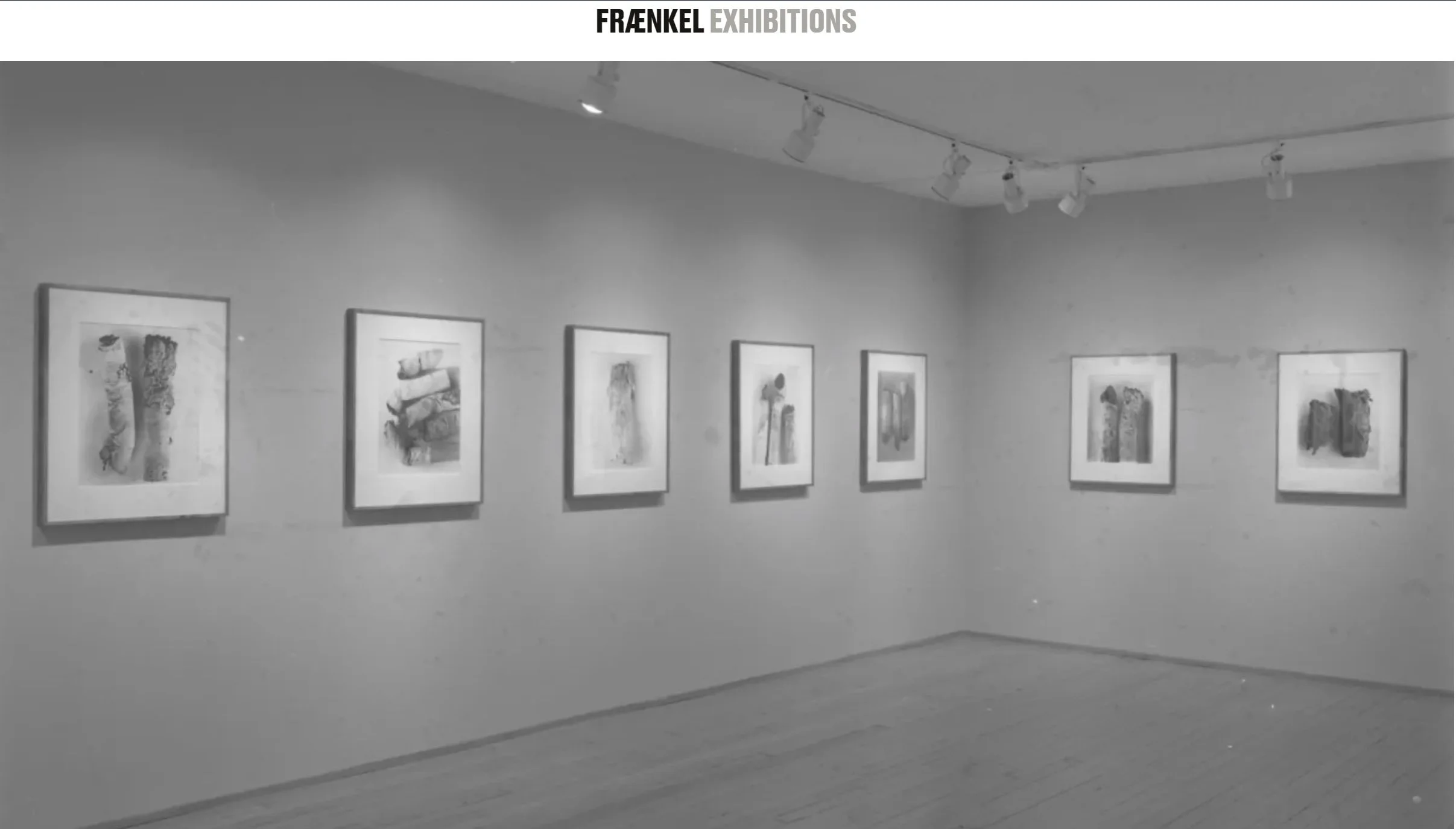 Shot down by Irving’s Penn — Steve Bloom Artist