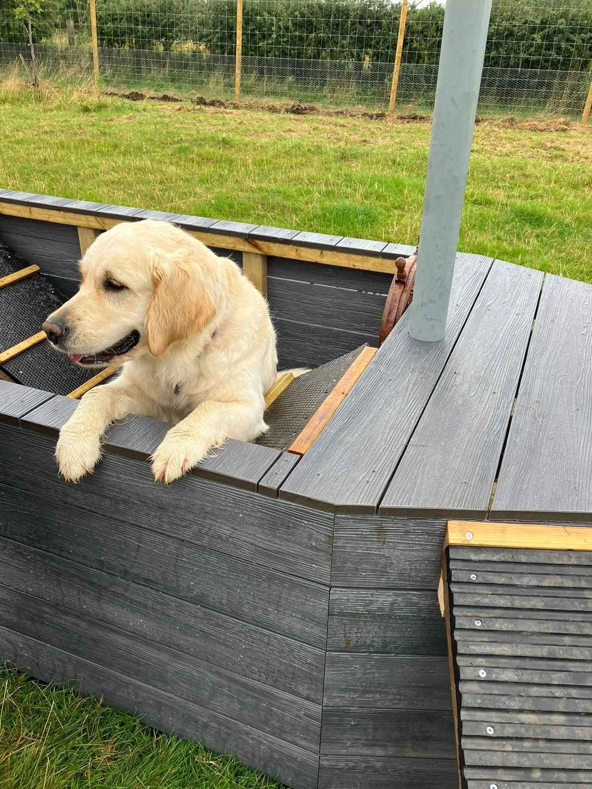Saltburn K9 Adventure Park