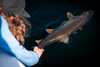 Horrocks Outfitting - Fishing & Fly Fishing Guide, Lake Placid NY