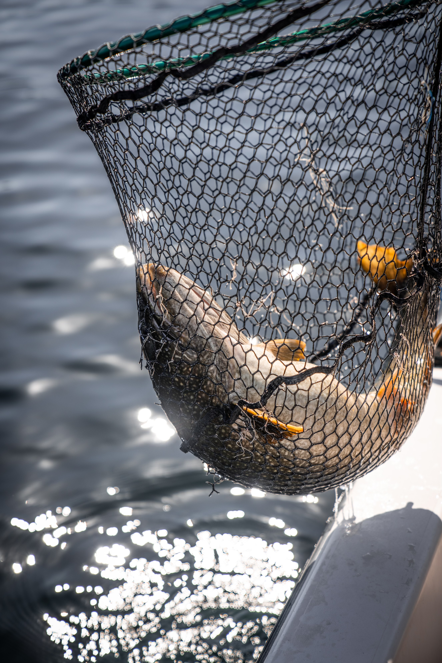 Horrocks Outfitting - Fishing & Fly Fishing Guide, Lake Placid NY