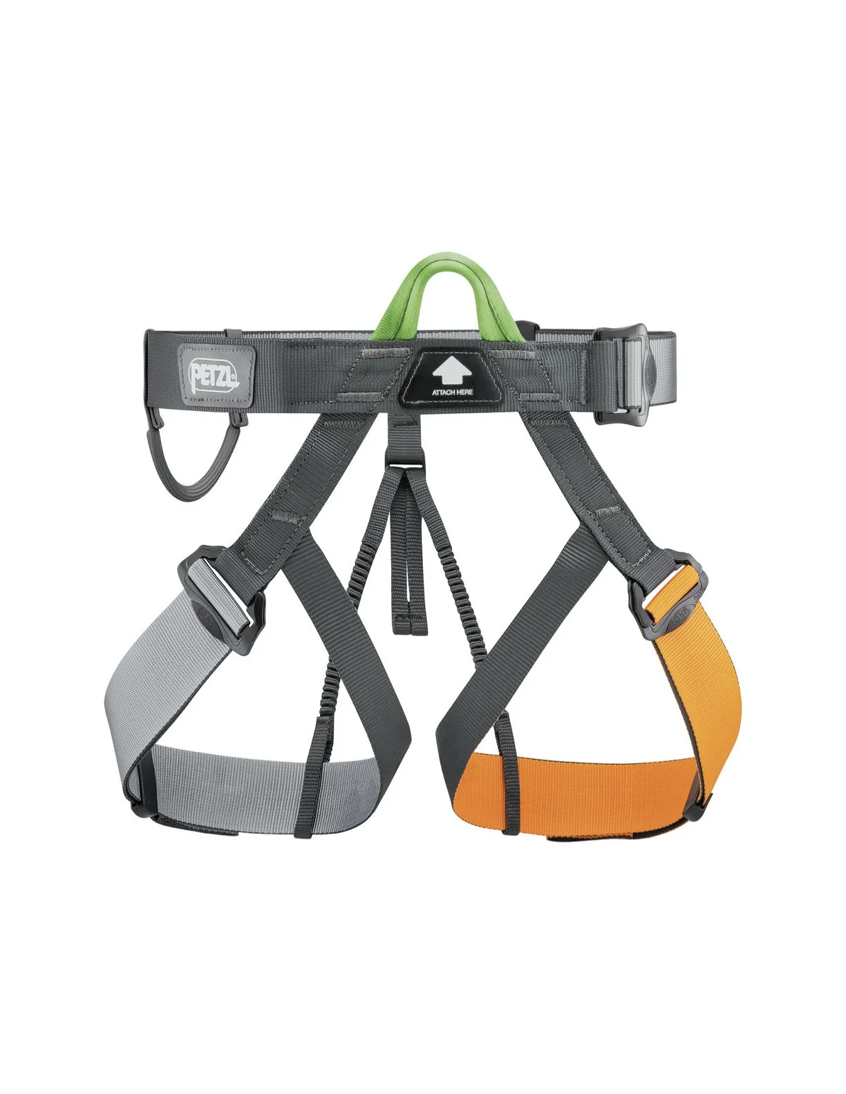 PANDION — Vertical Axcess