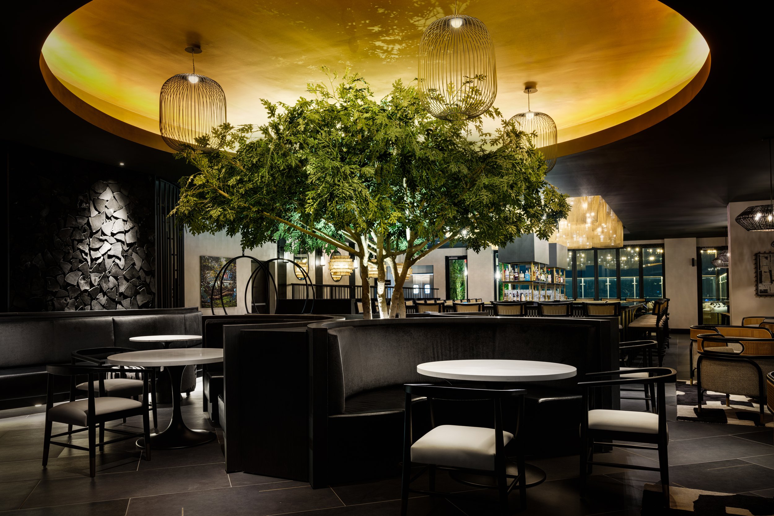 Premier Rooftop Bar in Raleigh | Raleigh Restaurant | Urban Oak