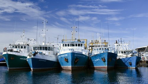 Enroll with WSMC — Washington State Maritime Cooperative