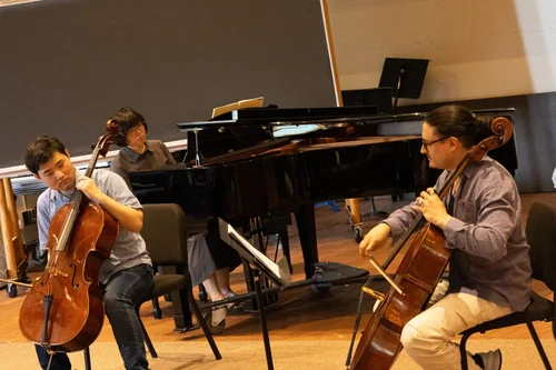 International Cello Institute