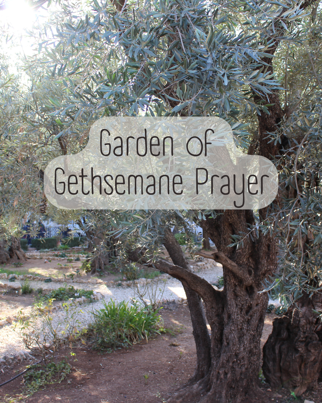 Garden of Gethsemane Prayer — Fulfilling the Ministry