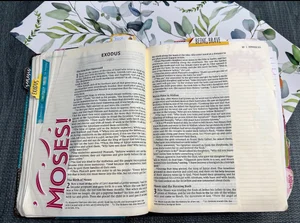 Love Others- Part 3 of the 10 Commandments — Fulfilling the Ministry