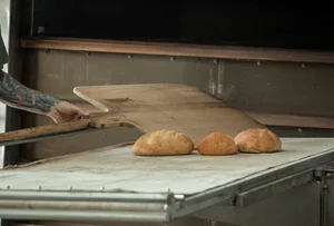 Services 1 — Borealis Breads