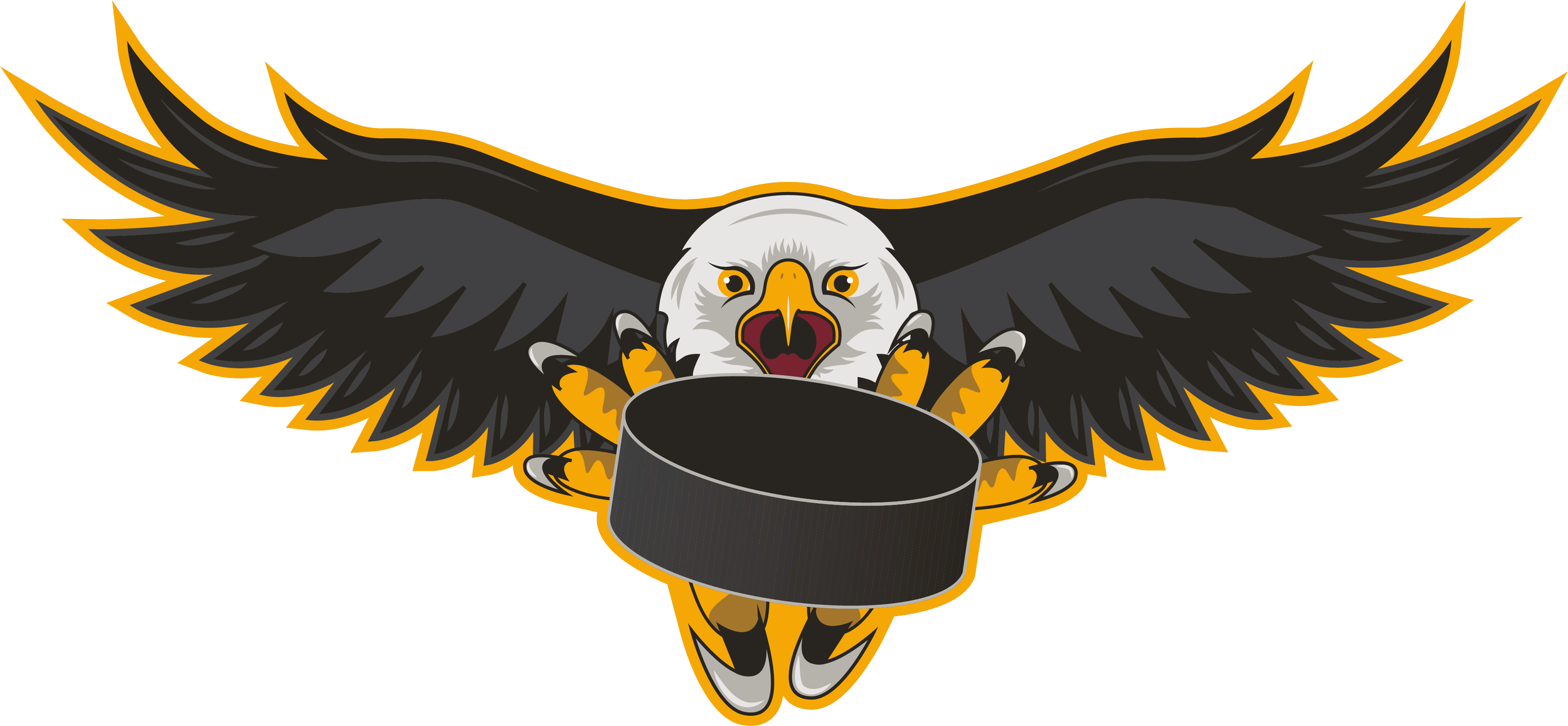 About LMHA | Hometown Hockey — Langley Minor Hockey Association