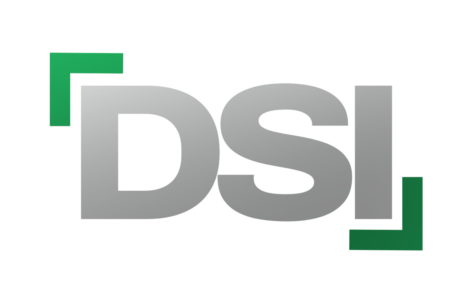 DSI Marketing Services